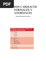 Laminación de Rexed | PDF | Médula espinal | Cerebelo