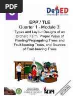 Tle Agri Grade 6 Module 1 | PDF | Trees | Wood