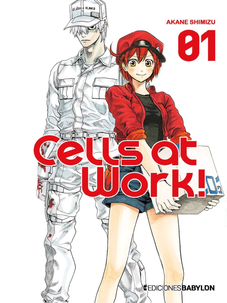 Cells at Work 1 | PDF | Leucocito | Glóbulo rojo