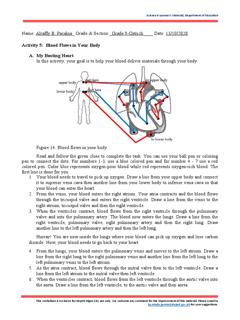 Activity 5: Blood Flows in Your Body A. My Beating Heart: Science 9 ...