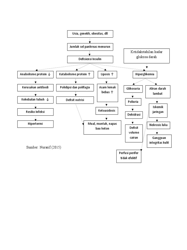 Patofisiologi Diabetes Melitus Tipe 2 | PDF