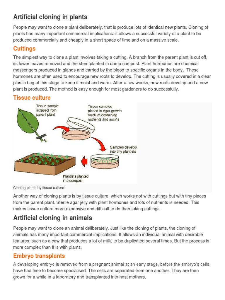 Cloning And Genetic Modification Pdf Genetic Engineering Cloning
