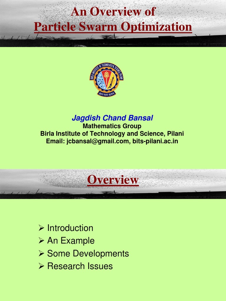 PSO Tutorial | PDF | Mathematical Optimization | Genetic Algorithm