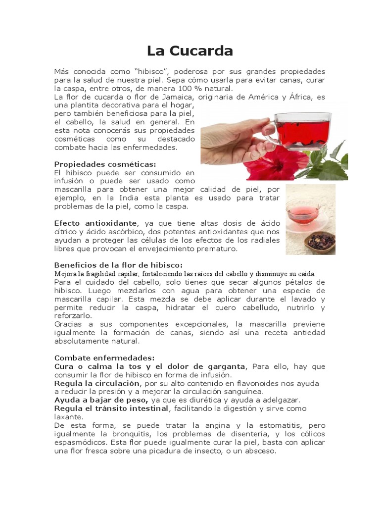 La Cucarda | PDF