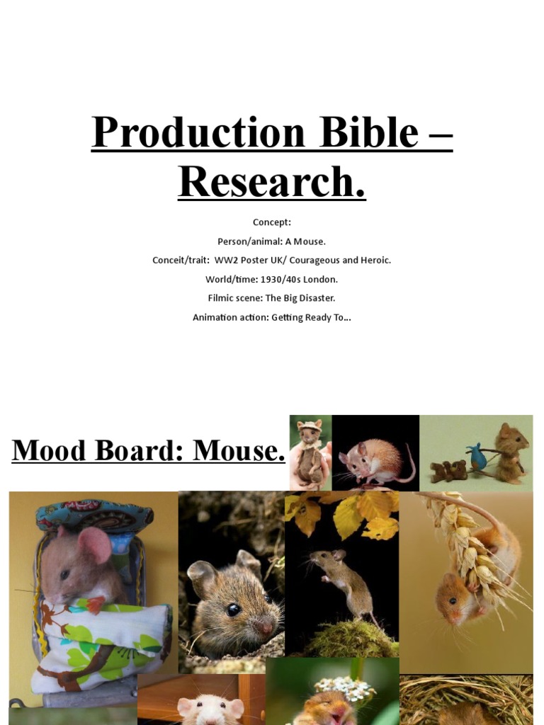 Production Bible | PDF