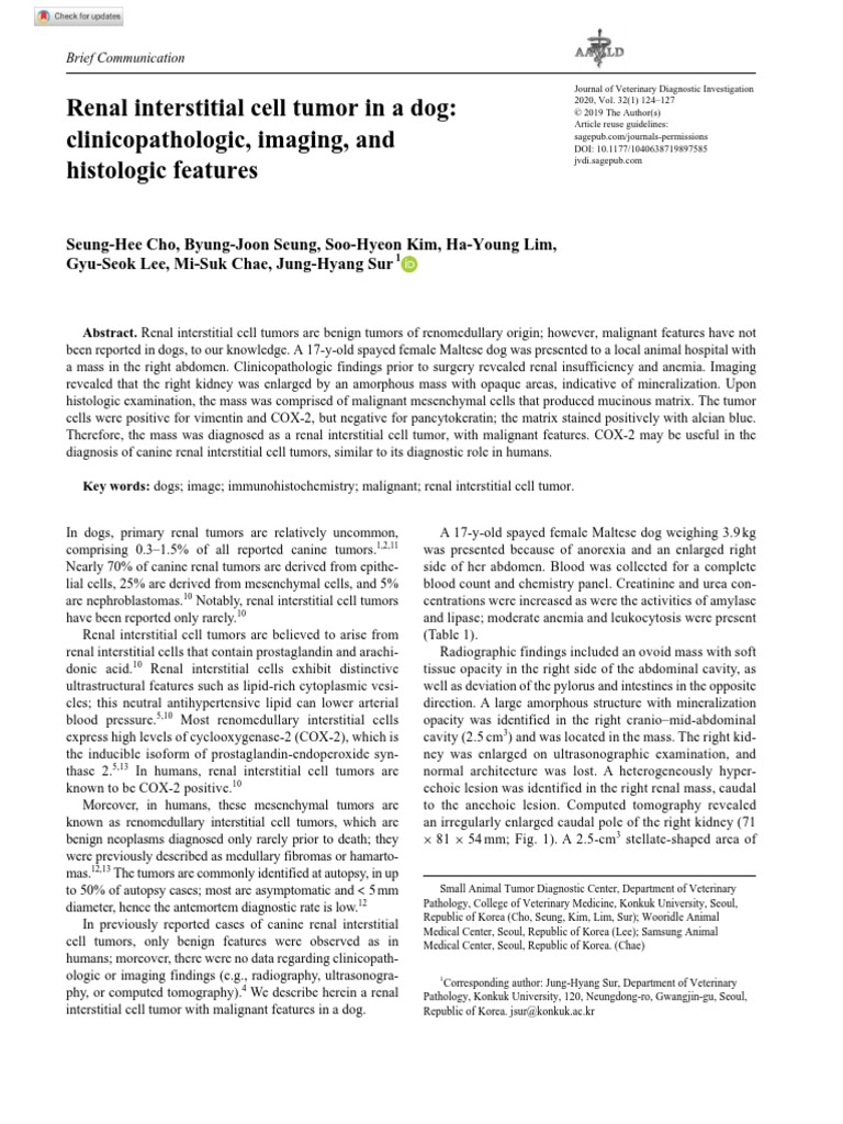 Renal Interstitial Cell Tumor in A Dog: Clinicopathologic, Imaging, and ...