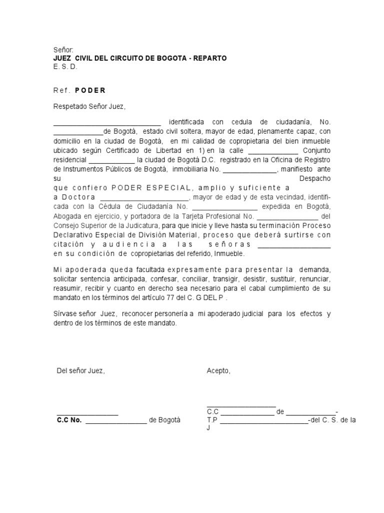 Modelo PODER PROCESO DIVISORIO | PDF