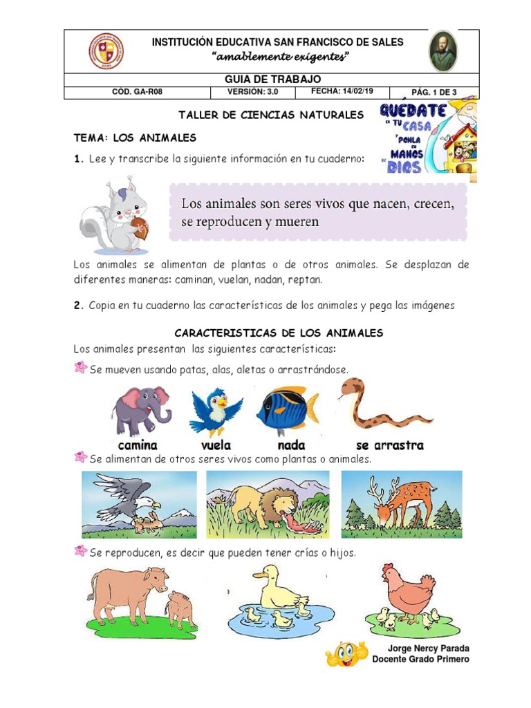Guia 1 Ciencias Naturales. Los Animales 1-01 PDF | PDF
