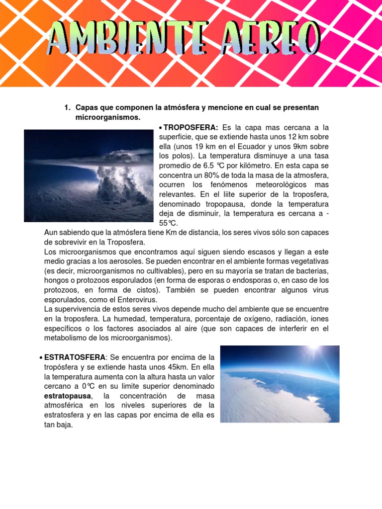 Ambiente Aereo Microorganismos | PDF | Atmósfera | Microorganismo