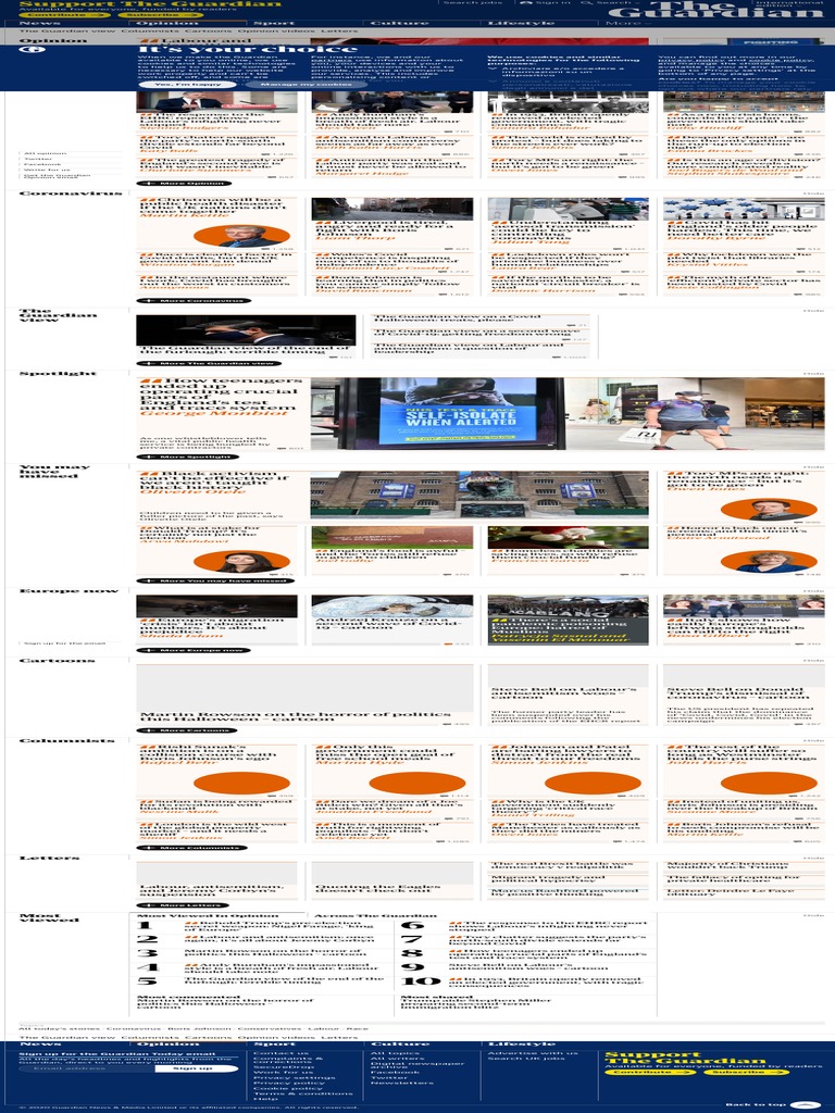 Jonathan Freedland: It's Your Choice | PDF | The Guardian | Http Cookie