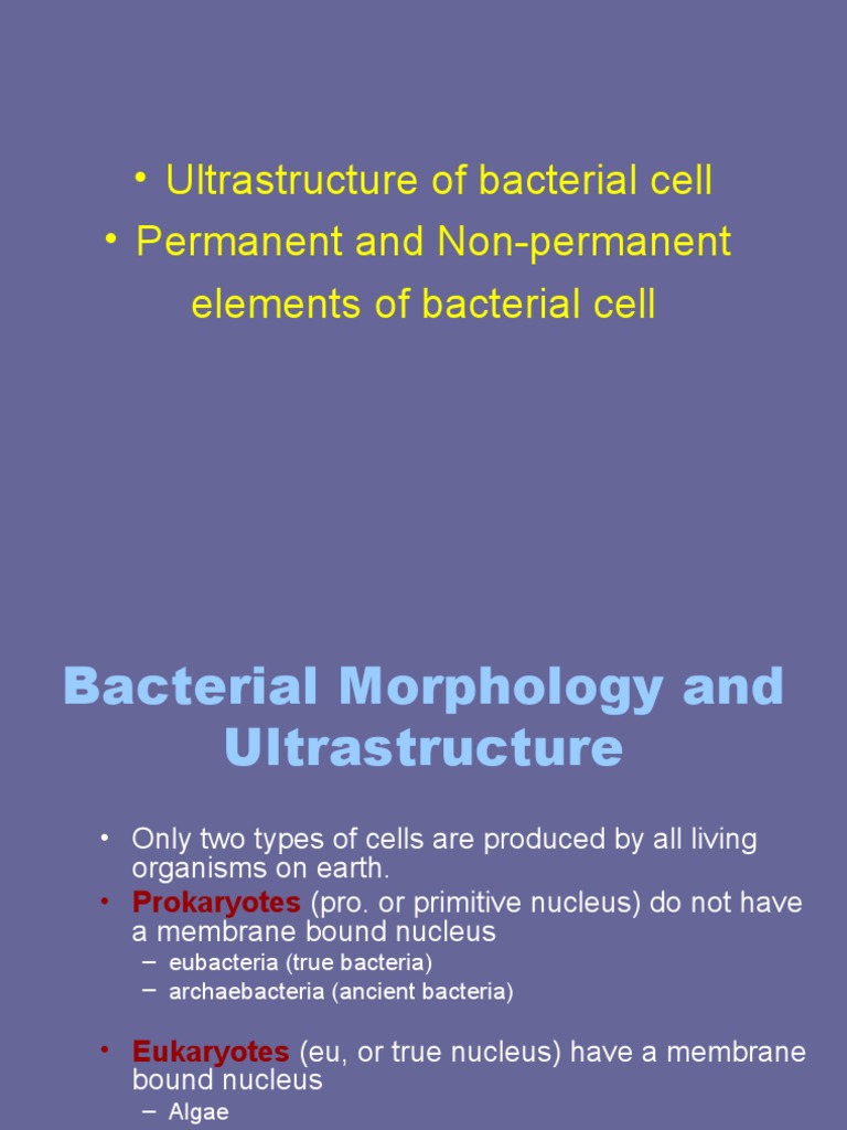 Ultrastructure of Bacterial Cell - Permanent and Non-Permanent Elements ...