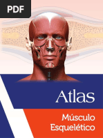 1 Region Superciliar | PDF | Cráneo | Anatomía humana