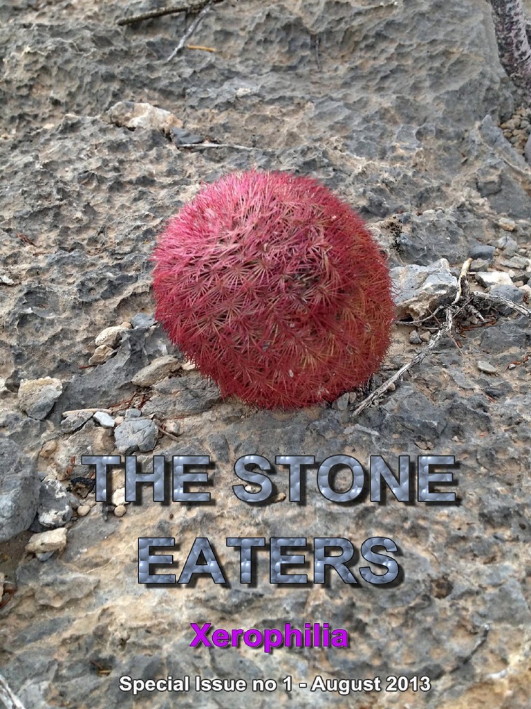 The Stone Eaters PDF | PDF | Clay | Soil