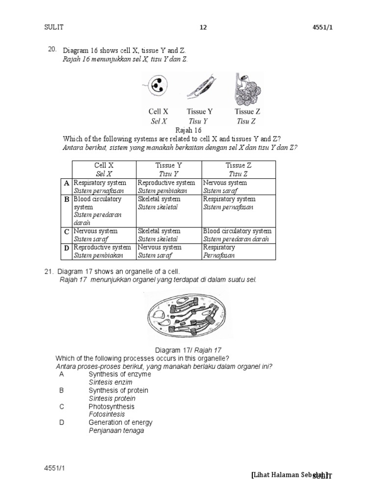 Soalan BK1 Finalyre15 | PDF | Mitosis | Cell Membrane