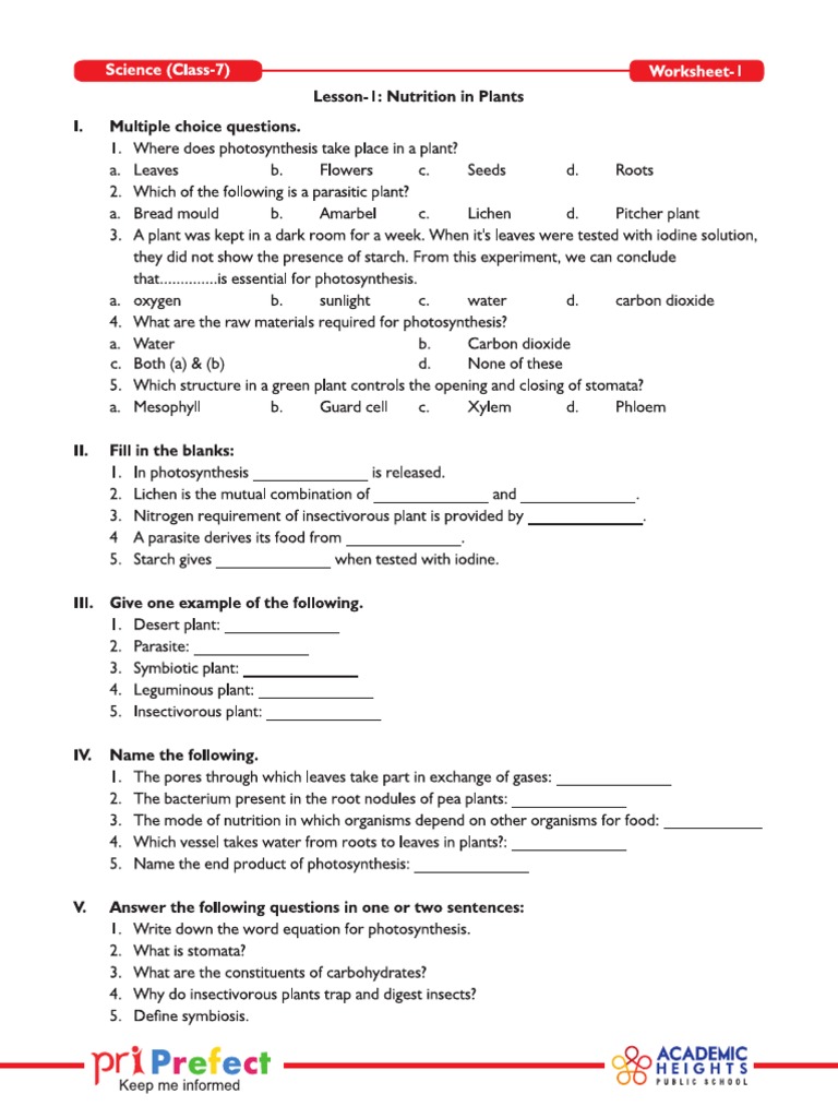 Nutrition in Plants Worksheet PDF | PDF