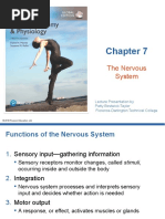 Reproductive System Chapter 16 Key Answer | PDF