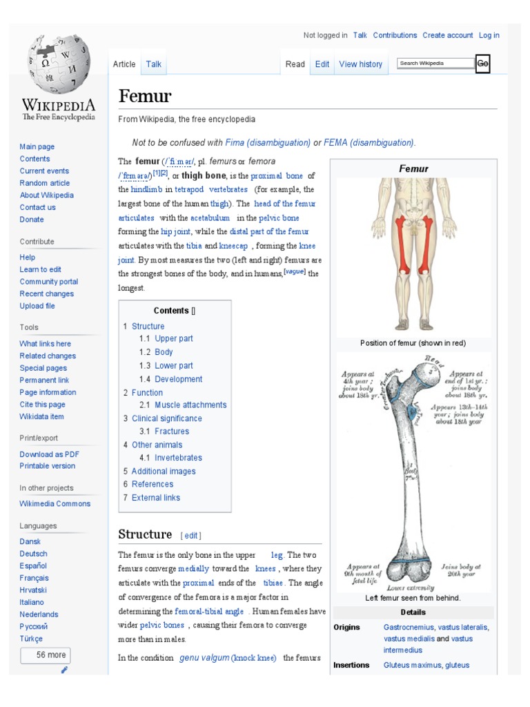 Femur PDF | PDF | Limbs (Anatomy) | Lower Limb Anatomy