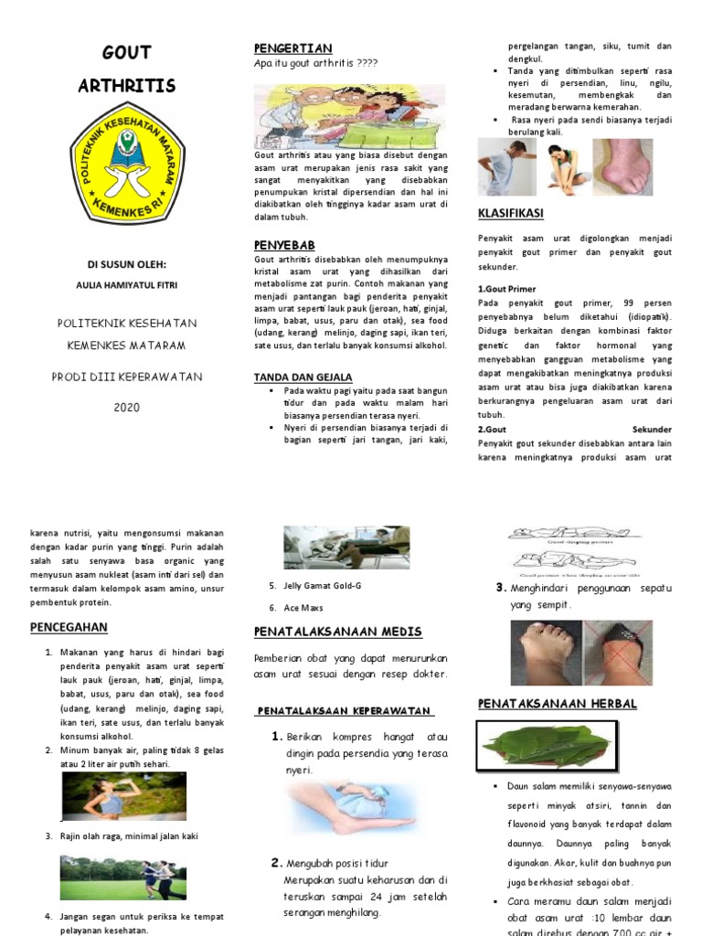 Leaflet Gout Arthritis | PDF