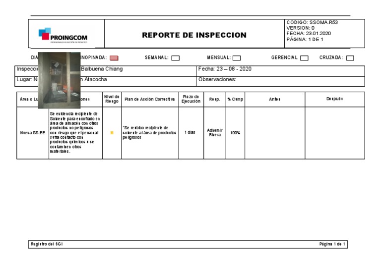 Formato de Inspeccion 2 | PDF