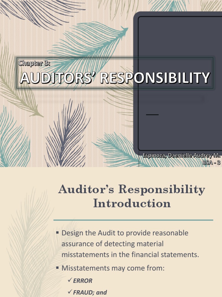Chapter 3 - Auditors' Responsibility | PDF | Internal Control | Audit