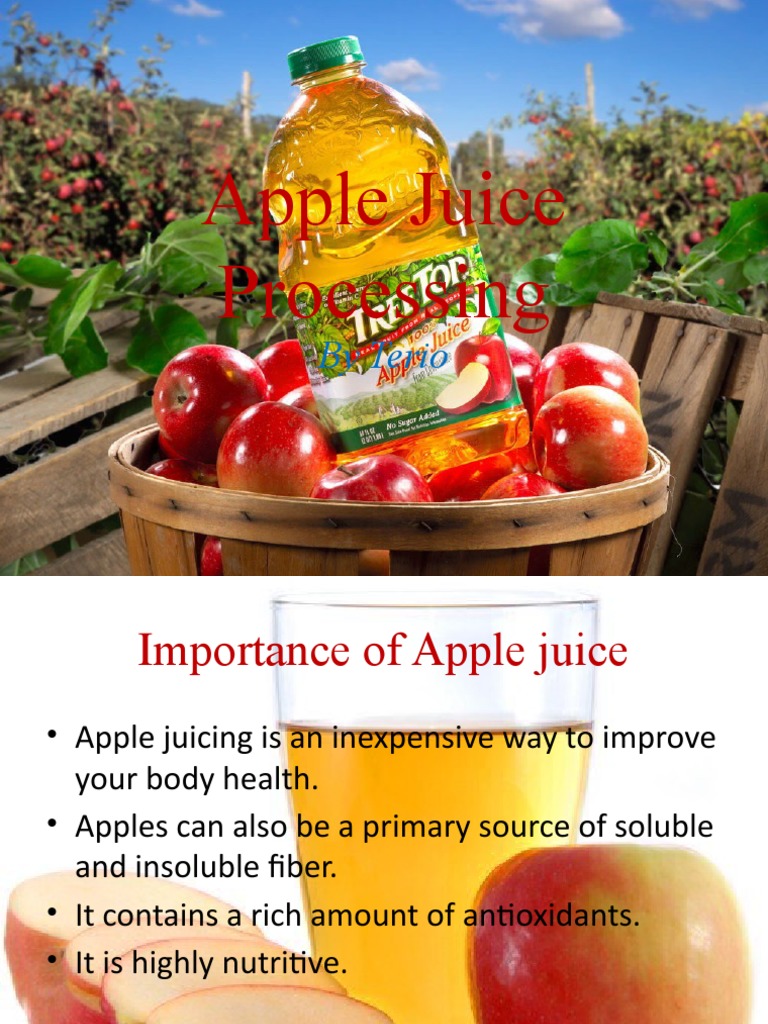 Apple Juice Processing Report | PDF | Cider | Juice