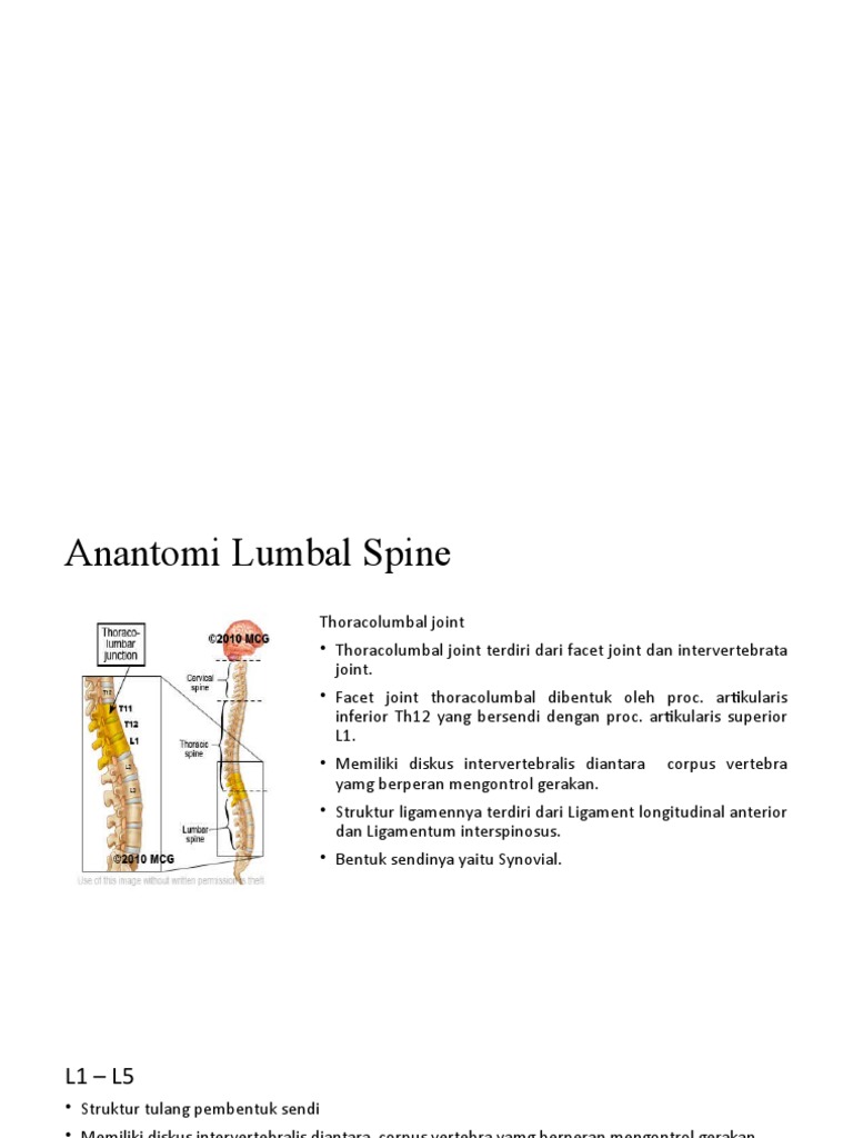 Pemeriksaan Pada Regio Lumbal Spine | PDF