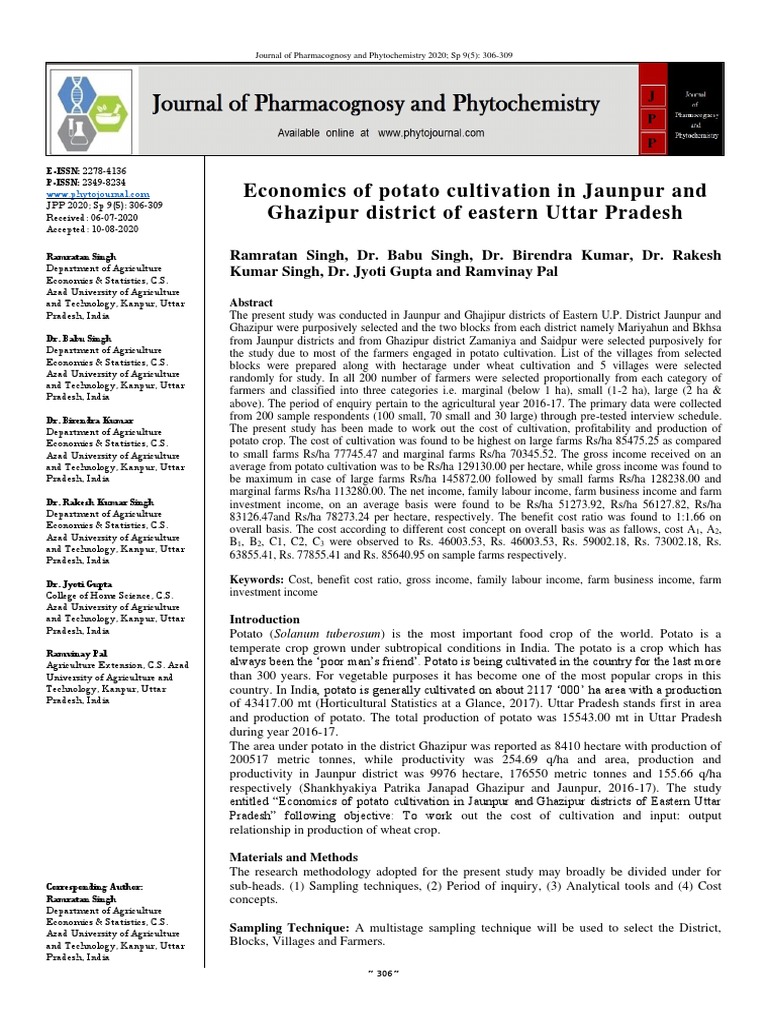 Economics of Potato Farming in Eastern UP | PDF | Agriculture | Income