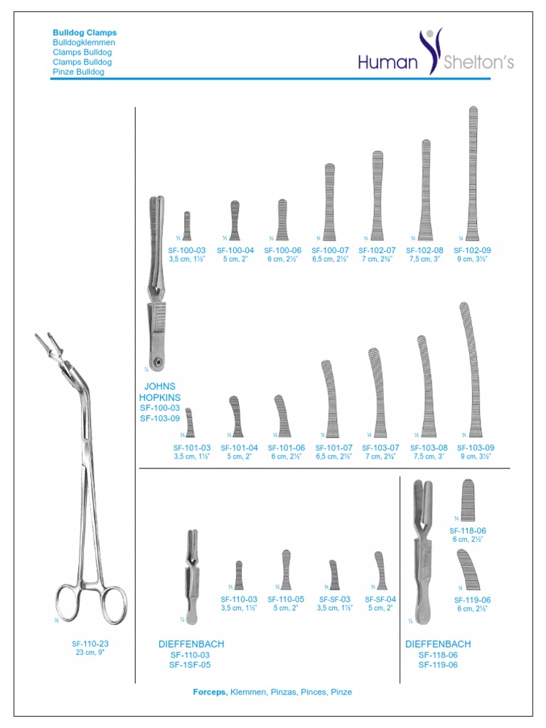 Human: Shelton's | PDF | Latin Script