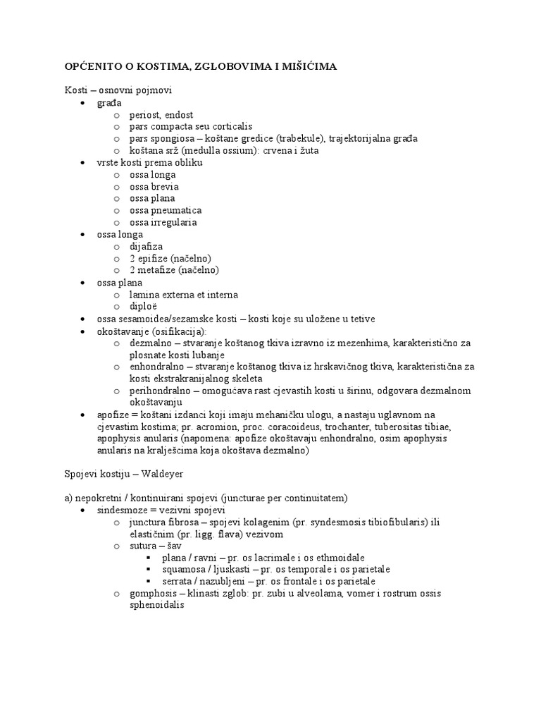 Hand-Out - A1 (Ivan Banovac) PDF | PDF