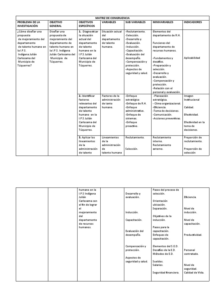 Matriz de Congruencia | PDF | Gestión de recursos humanos | Economias