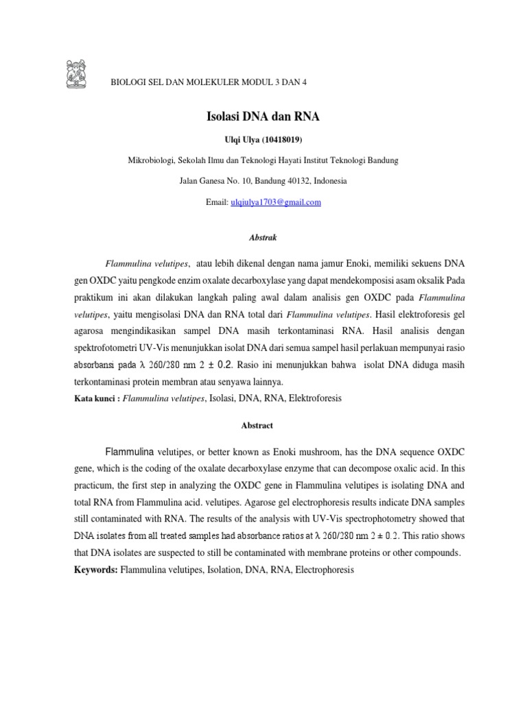Isolasi DNA RNA | PDF