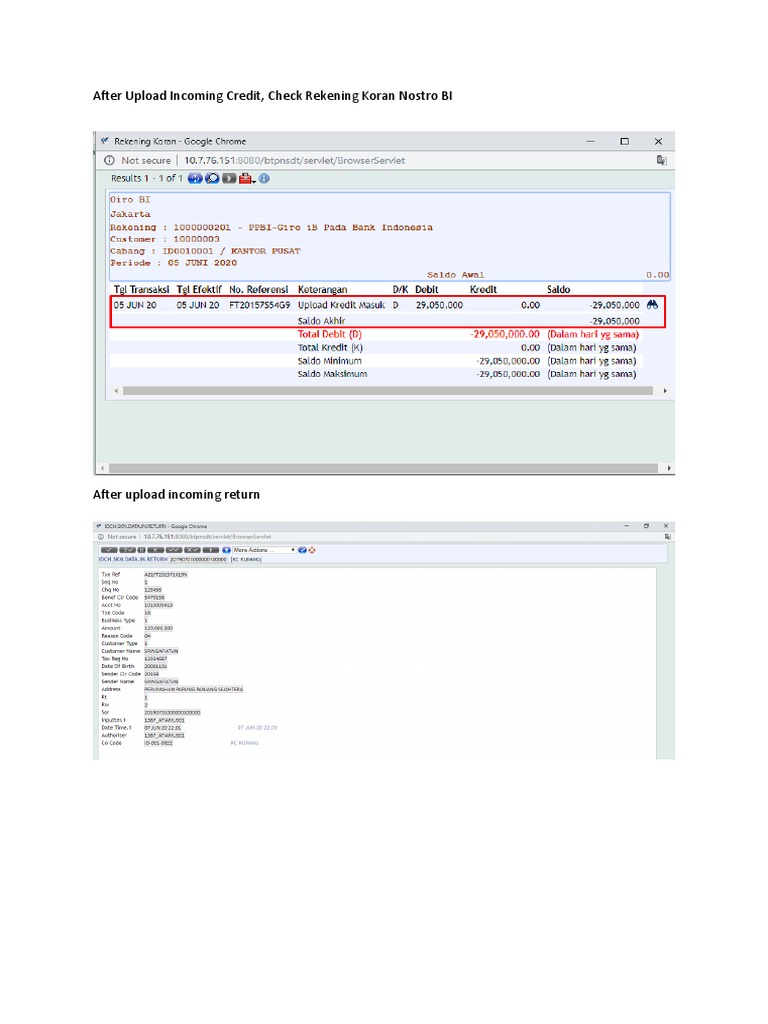 SKN Incoming Flow Process | PDF