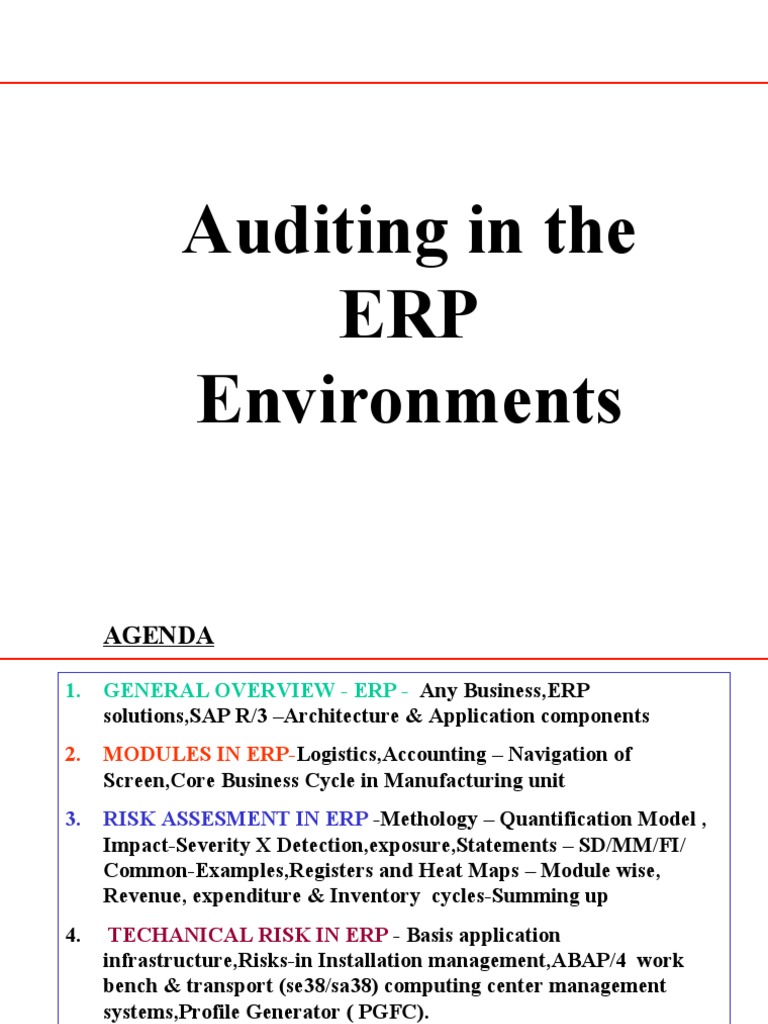 ERP Auditing: Risks and Best Practices | PDF | Enterprise Resource ...