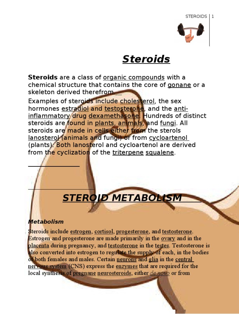 Understanding Steroids: Structure and Metabolism | PDF | Steroid ...