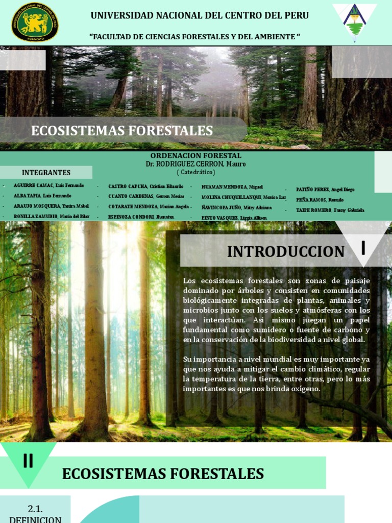 Ecosistemas Forestales | PDF | Los bosques | Ecosistema