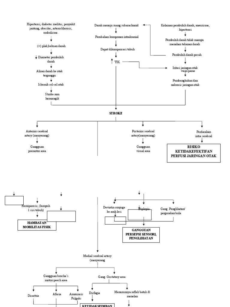 Pathway SNH Terbaru | PDF