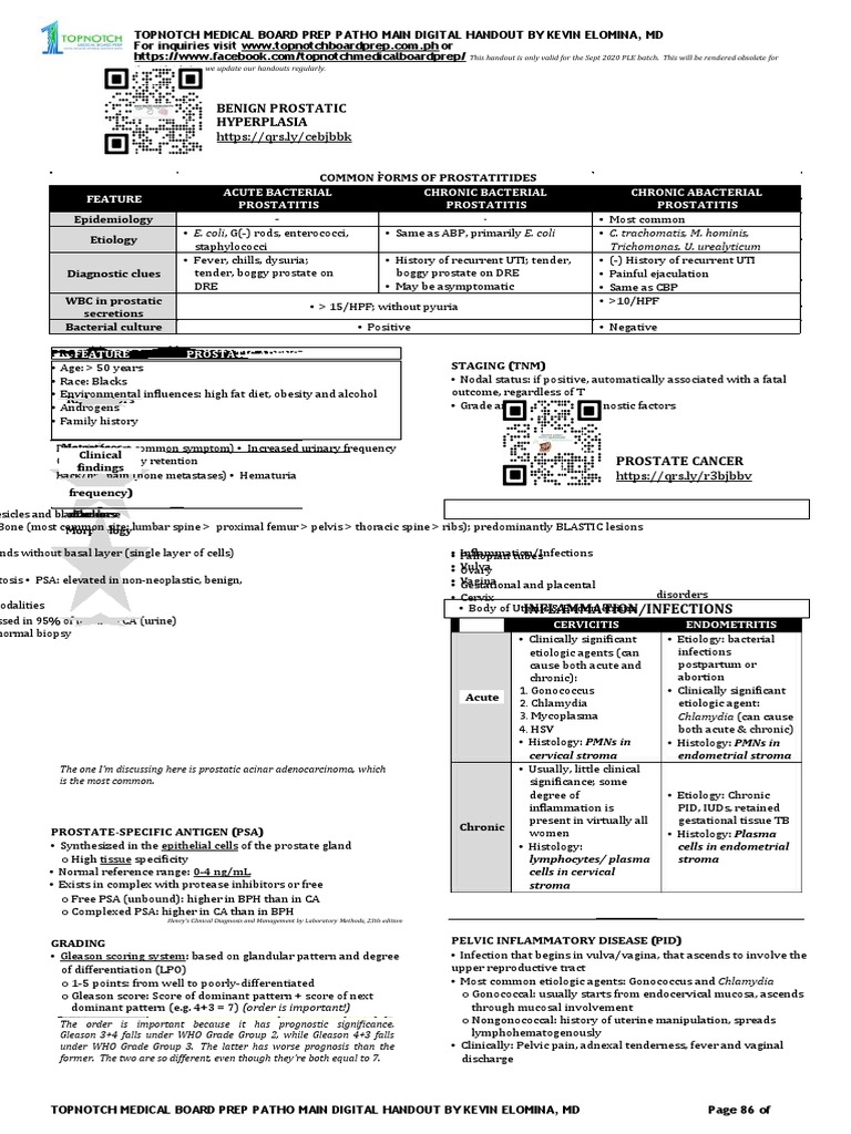 PATHOLOGY MAIN HANDOUT - Extract | PDF | Ovarian Cancer | Sexual Anatomy