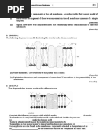 Phylogeny Practice Problems | PDF | Phylogenetic Tree | Mathematical ...