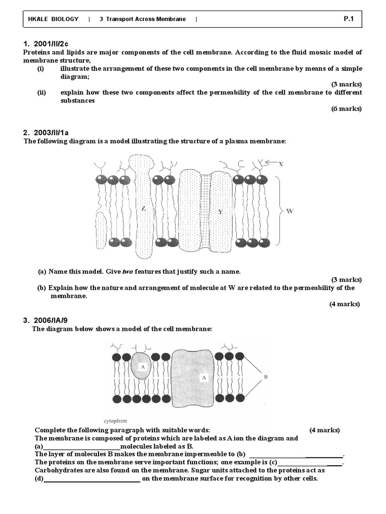 Chapter3 - Transport Across Membrane | PDF | Biophysics | Cell Membrane