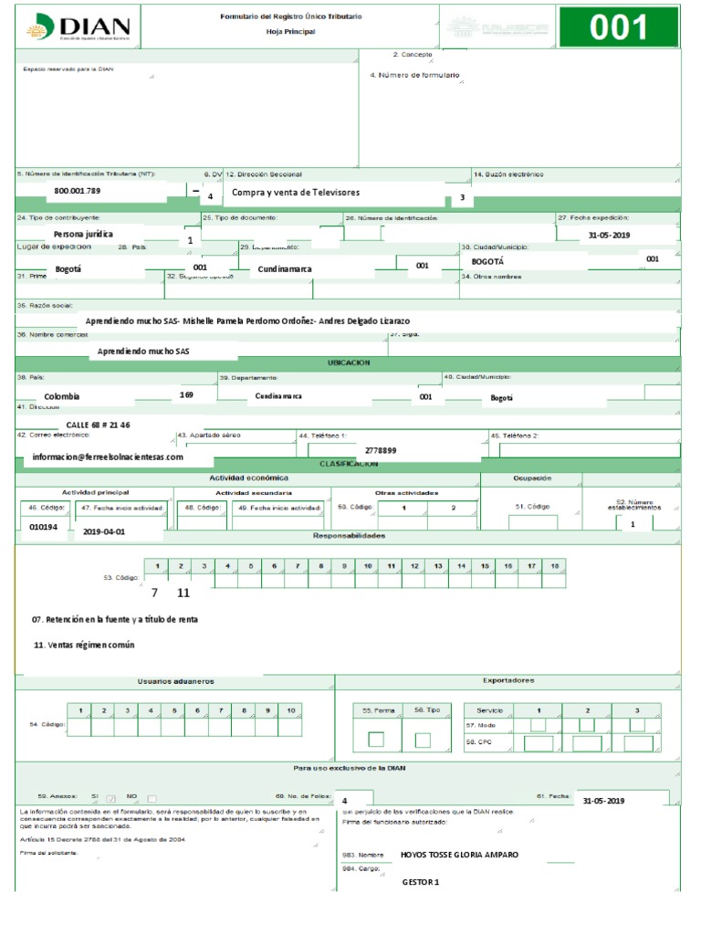 FORMATO RUT para Diligenciar | PDF