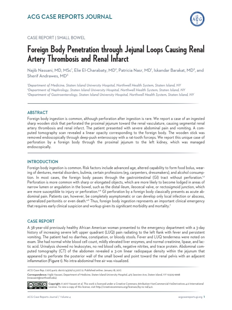 Nassani Et Al. - 2017 - Foreign Body Penetration Through Jejunal Loops ...