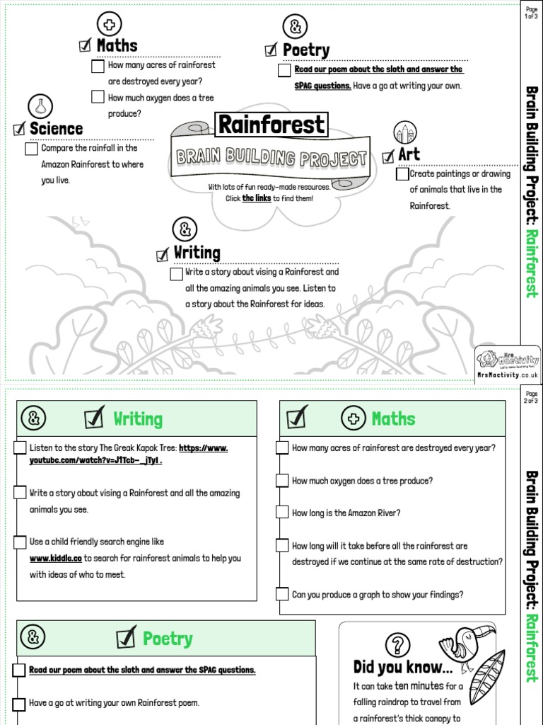 Rainforest: Brain Building Project | PDF | Rainforest | Amazon Rainforest
