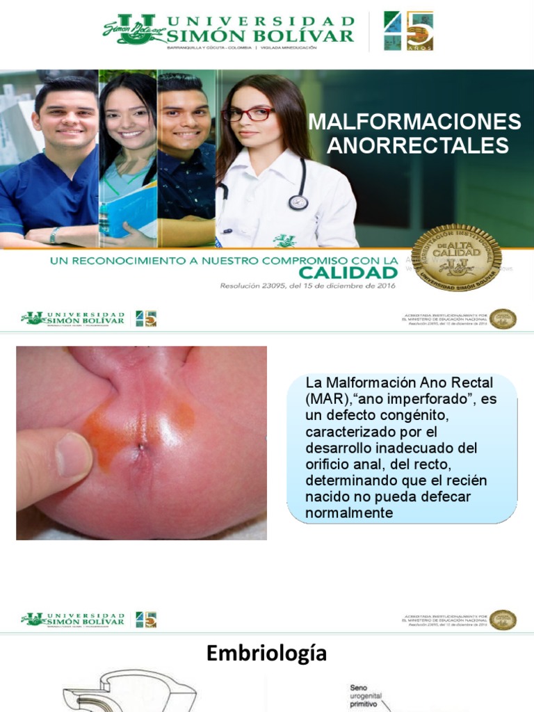 Malformaciones Anorrectales | PDF | Especialidades Medicas | Enfermedades y trastornos