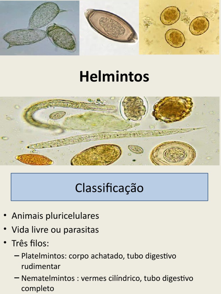 Aula 2 - Helmintos | PDF | Parasitologia | Epidemiologia