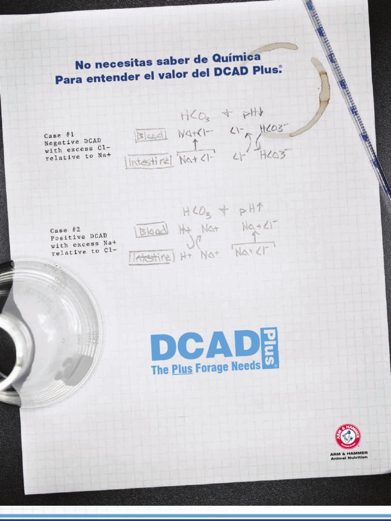 DCAD Plus Detailer - Spanish | PDF | Potasio | Dieta y nutrición