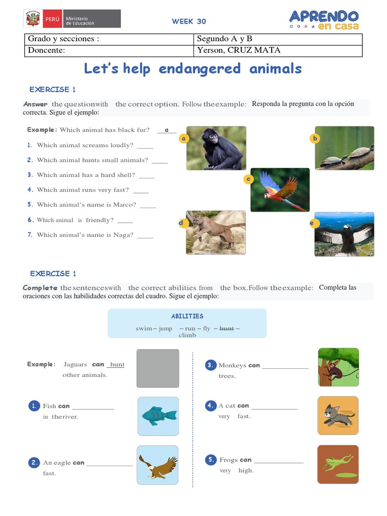 Endangered Animals Learning Exercises | PDF | Organisms | Nature