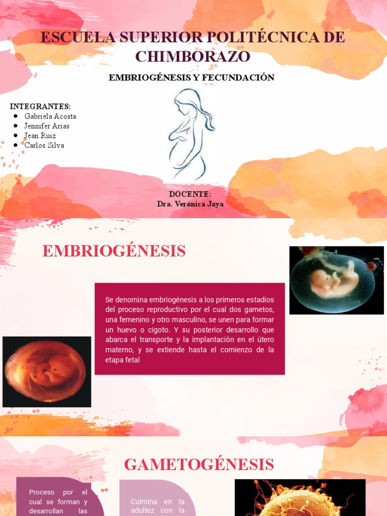 Embriogénesis y fecundación: procesos clave de la reproducción humana ...