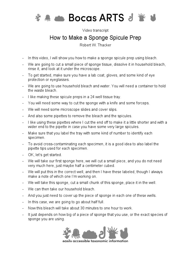 How To Make A Sponge Spicule Prep | PDF | Sponge | Microscopy