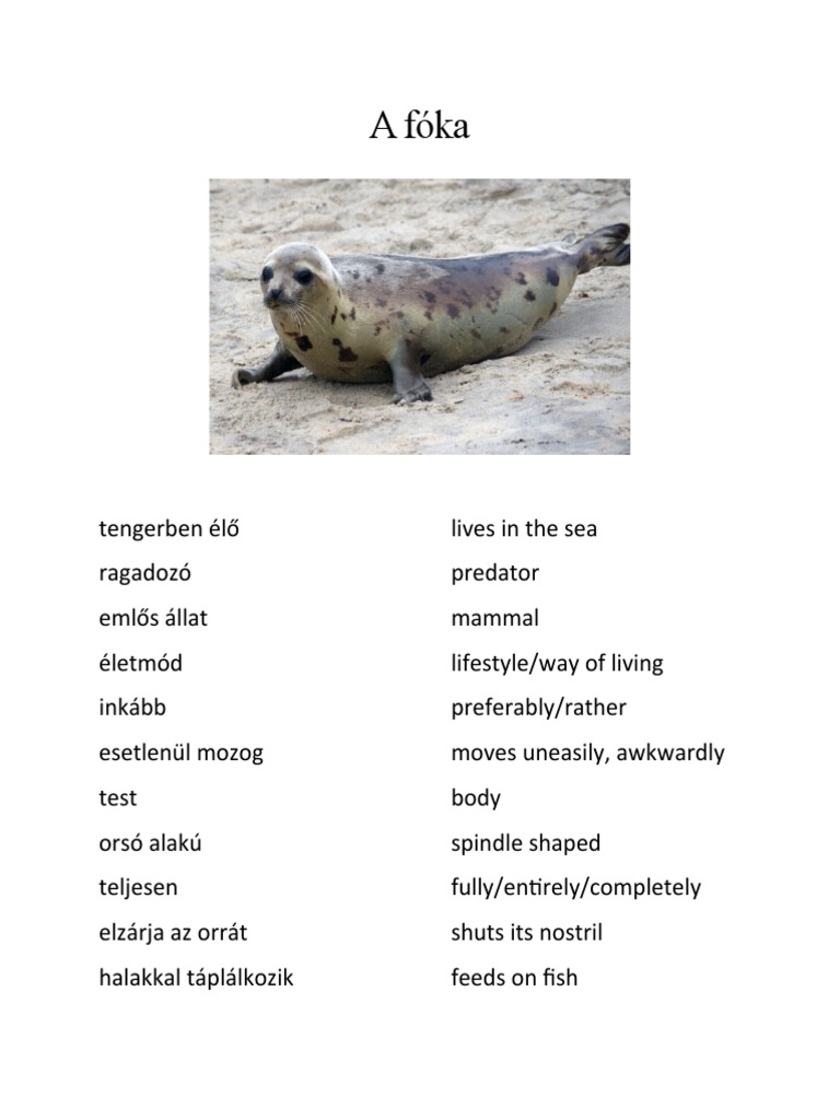 A Fóka | PDF