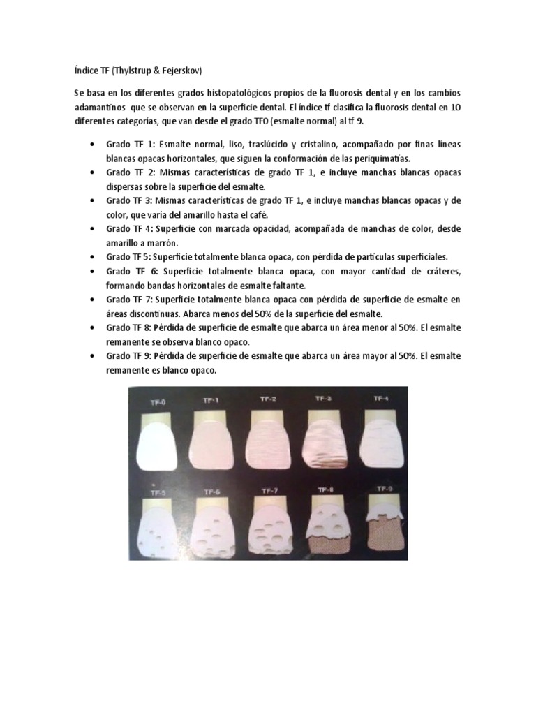 Clasificación de Fluorosis Dental TF y Dean | PDF | Esmalte de dientes ...